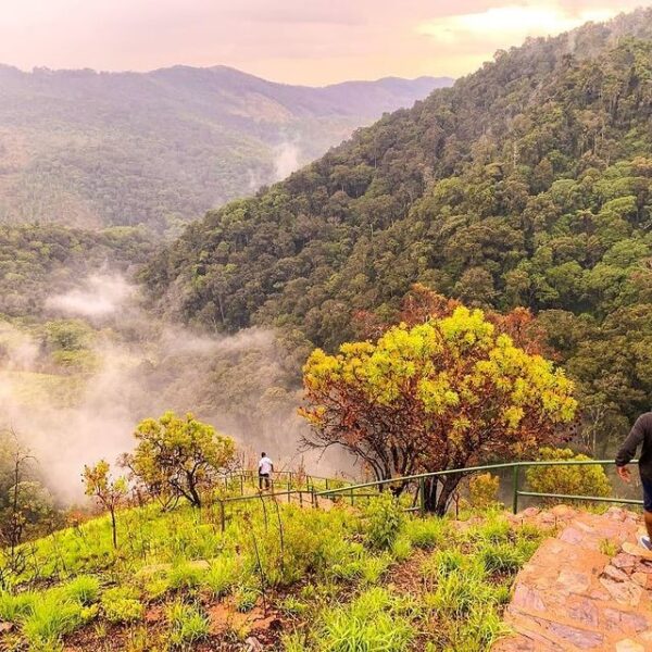 Kitulo National Park | Afromasai Eastern Safaris